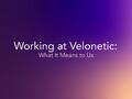 Velonetic culture snapshot: Our values